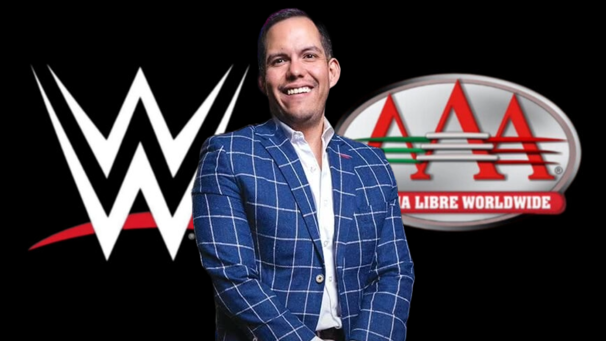AAA CEO Details Sponsorship Struggles That Led to WWE Acquisition ...