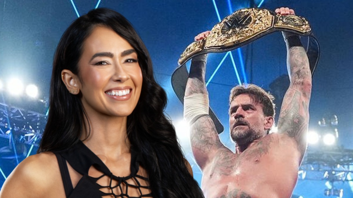 AJ Lee Reacts To CM Punk's World Heavyweight Championship Win | SEScoops